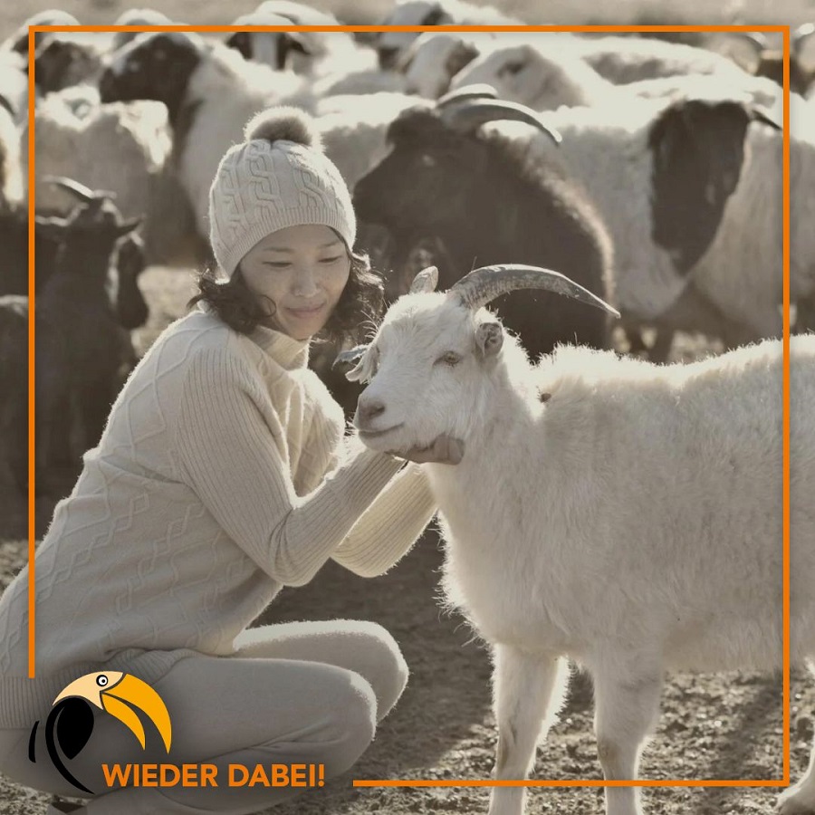 Deli Cashmere: Mongolischer Kaschmir trifft auf Familienvision - Bazaar Berlin