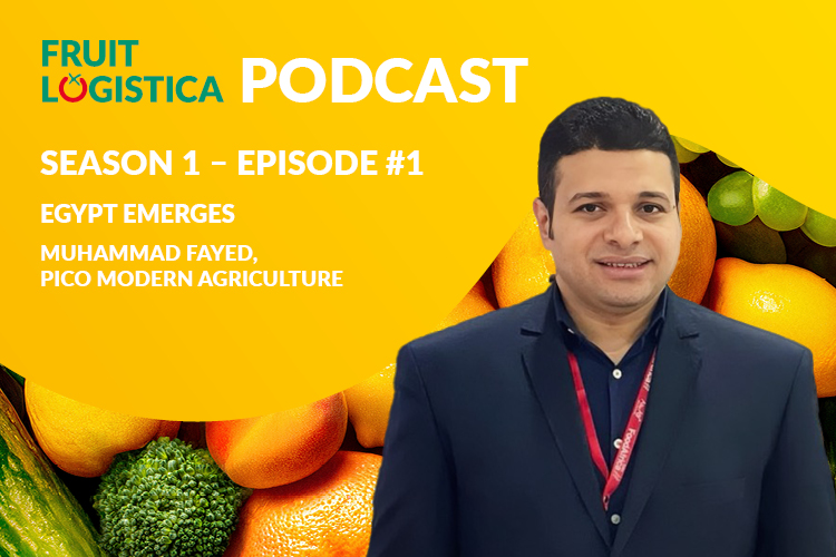 How the country is taking its fruit exports to new heights - FRUIT ...