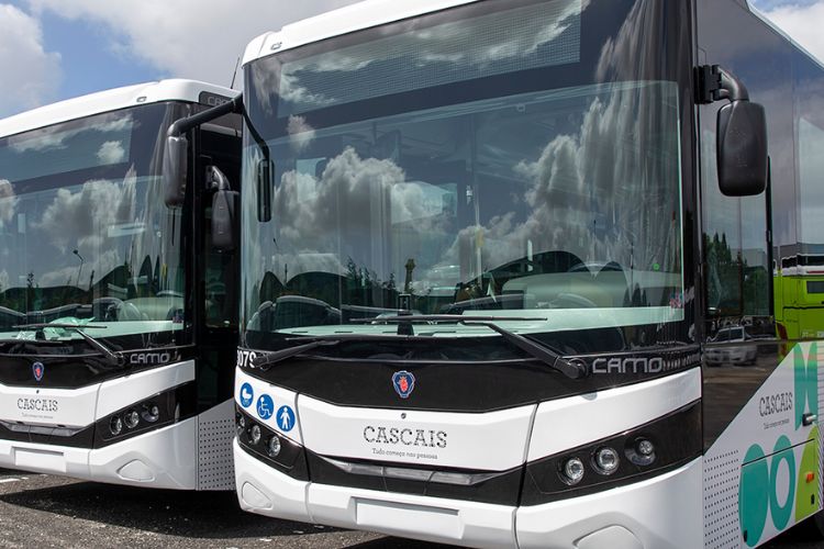 The Green Mobility System of Cascais - BUS2BUS